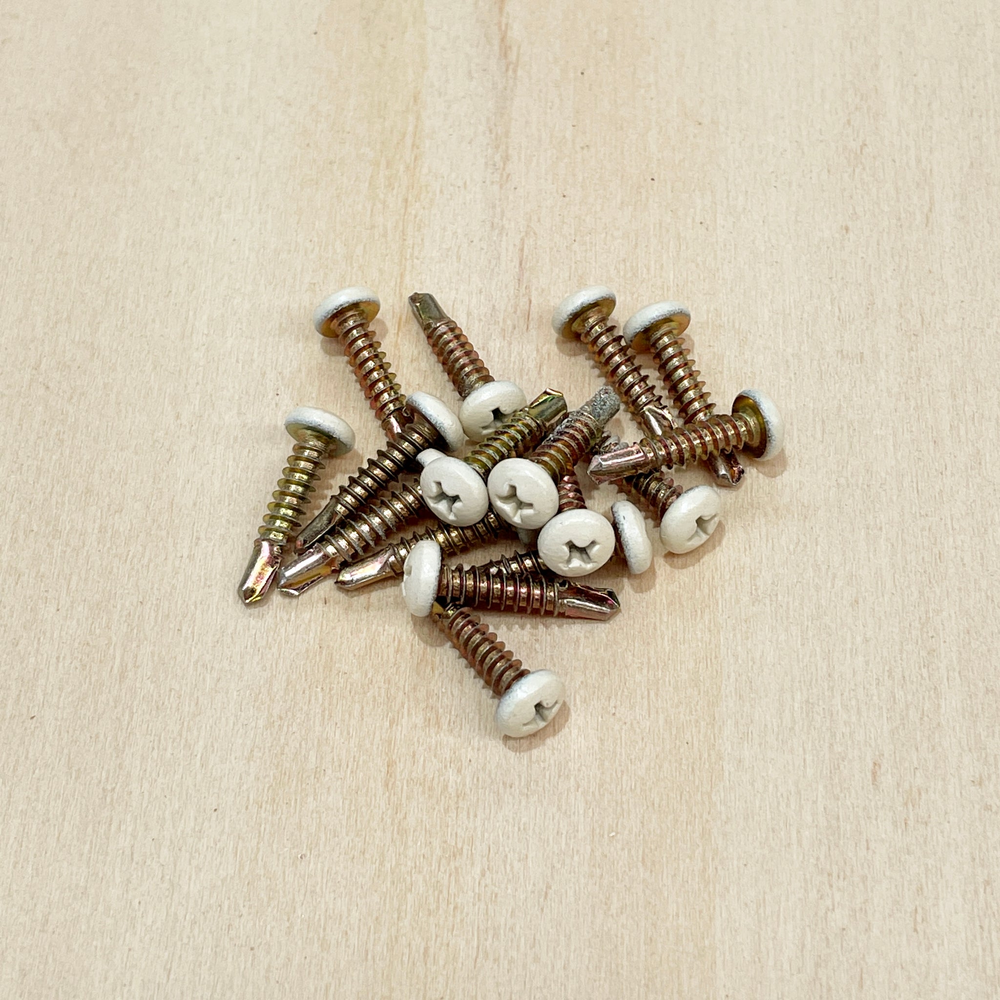Cream Screws for Austral Slatpanel – Austral Plywoods